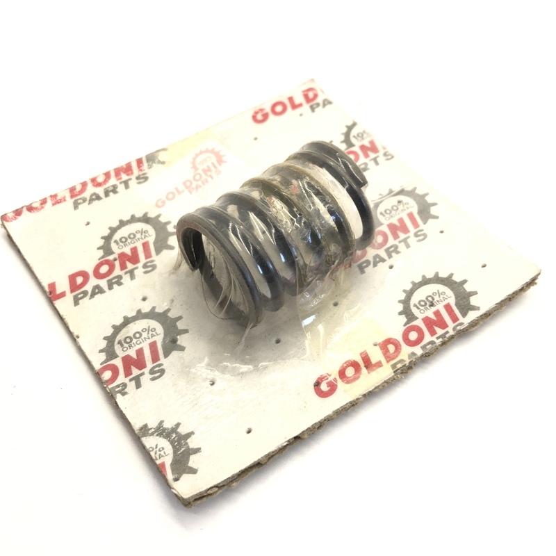 DIFFERENTIAL LOCK SPRING: GOLDONI - 00005854 - Buy at the best price