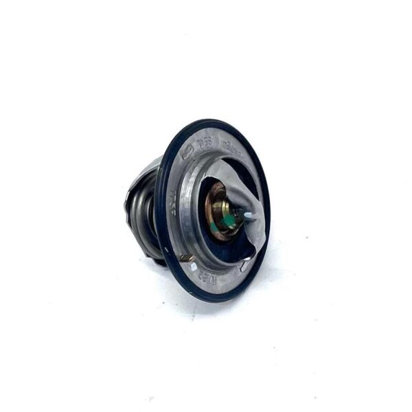 TERMOSTATO: CNH Originale FIAT - 504384724 - Compra al miglior prezzo